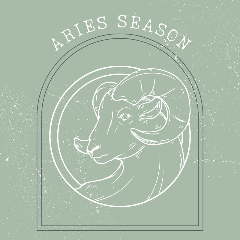 Aries Cosmic Collection | Zodiac Gifts and Tools at Ordinary Magic ...